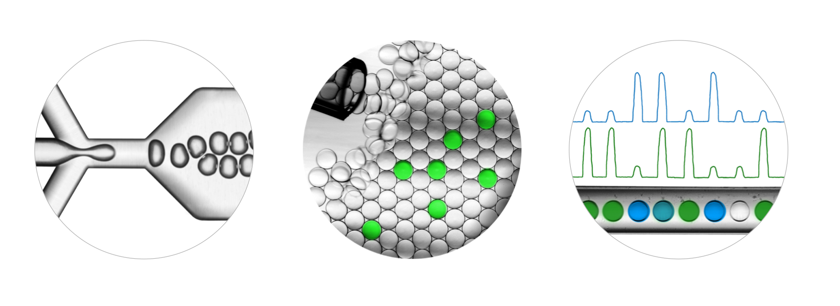 ddPCR Analysis vs. Other Quantitative PCR Methods: Which is Better?